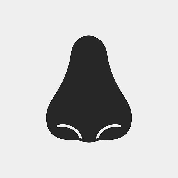 Human Nose Illustrations Illustrations, Royalty-Free Vector Graphics ... Human Nose Illustrations Illustrations, Royalty-Free Vector Graphics ...