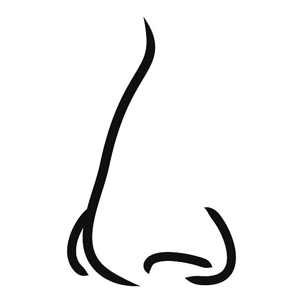 Best Human Nose Illustrations, Royalty-Free Vector Graphics & Clip Art ... Best Human Nose Illustrations, Royalty-Free Vector Graphics & Clip Art ...