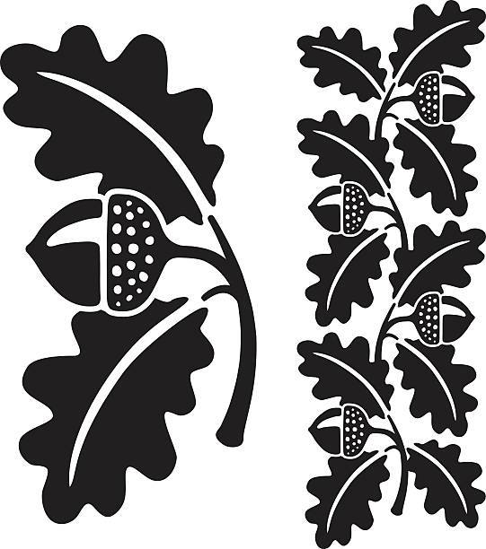 Best Acorn Illustrations, Royalty-Free Vector Graphics & Clip Art - iStock Best Acorn Illustrations, Royalty-Free Vector Graphics & Clip Art - iStock