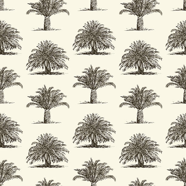 Best Date Palm Tree Illustrations, Royalty-Free Vector Graphics & Clip ... Best Date Palm Tree Illustrations, Royalty-Free Vector Graphics & Clip ...