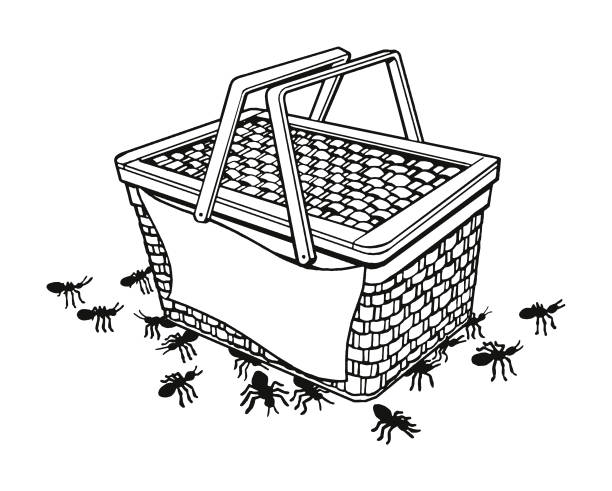 Picnic Ants Illustrations, Royalty-Free Vector Graphics & Clip Art - iStock Picnic Ants Illustrations, Royalty-Free Vector Graphics & Clip Art - iStock