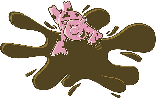 Best Pig In Mud Illustrations, Royalty-Free Vector Graphics & Clip Art ... Best Pig In Mud Illustrations, Royalty-Free Vector Graphics & Clip Art ...