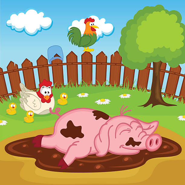 Best Pig In Mud Illustrations, Royalty-Free Vector Graphics & Clip Art ... Best Pig In Mud Illustrations, Royalty-Free Vector Graphics & Clip Art ...
