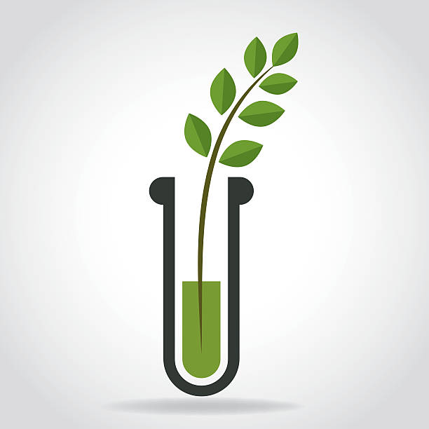 Plant Test Tube Illustrations, Royalty-Free Vector Graphics & Clip Art ... Plant Test Tube Illustrations, Royalty-Free Vector Graphics & Clip Art ...