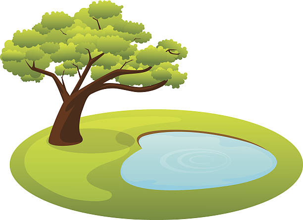 Best Pond Illustrations, Royalty-Free Vector Graphics & Clip Art - iStock Best Pond Illustrations, Royalty-Free Vector Graphics & Clip Art - iStock