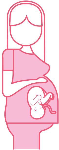 Best Gestational Diabetes Illustrations, Royalty-Free Vector Graphics ... Best Gestational Diabetes Illustrations, Royalty-Free Vector Graphics ...