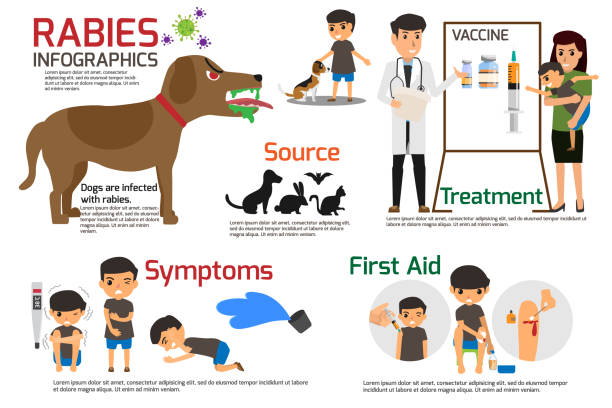 Rabies Illustrations, Royalty-Free Vector Graphics & Clip Art - iStock Rabies Illustrations, Royalty-Free Vector Graphics & Clip Art - iStock