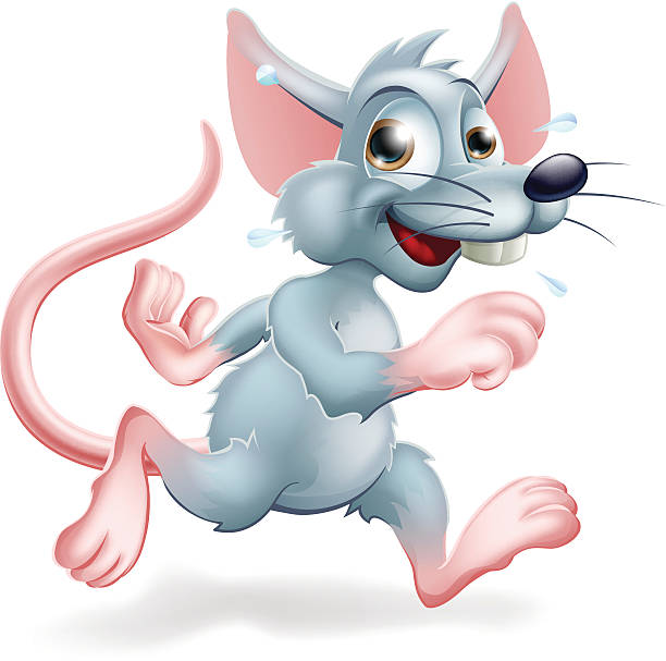 Rats Running Illustrations, Royalty-Free Vector Graphics & Clip Art ... Rats Running Illustrations, Royalty-Free Vector Graphics & Clip Art ...