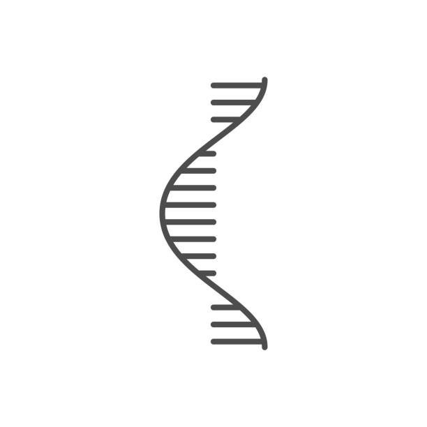 Rna Illustrations, Royalty-Free Vector Graphics & Clip Art - iStock Rna Illustrations, Royalty-Free Vector Graphics & Clip Art - iStock