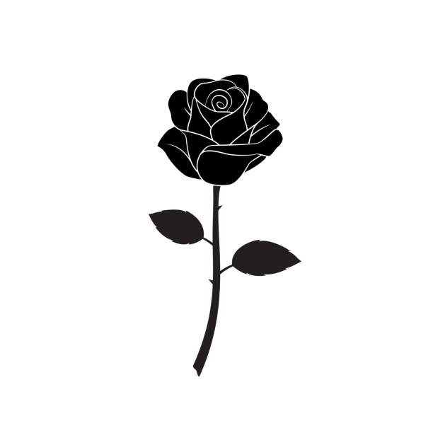 Silhouette Long Stem Rose Clipart - Draw-vip Silhouette Long Stem Rose Clipart - Draw-vip