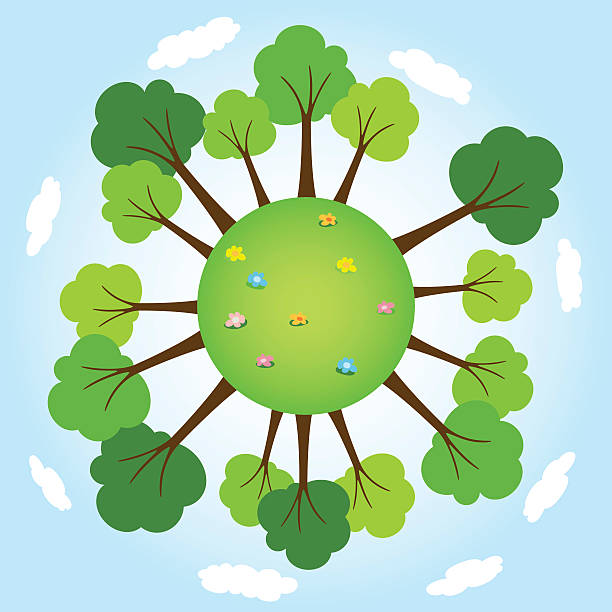 Best Both Worlds Illustrations, Royalty-Free Vector Graphics & Clip Art ... Best Both Worlds Illustrations, Royalty-Free Vector Graphics & Clip Art ...