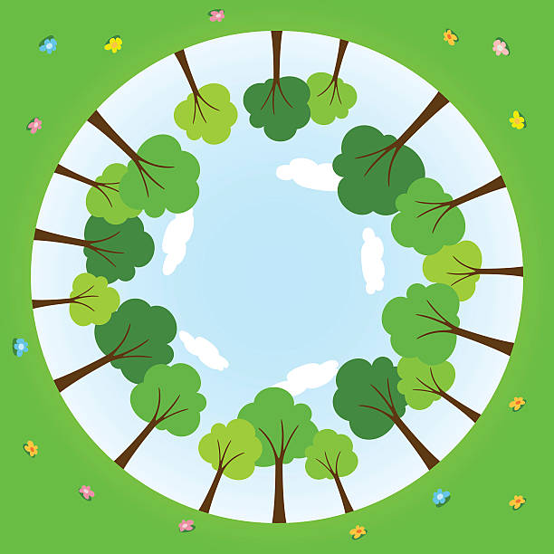 Best Both Worlds Illustrations, Royalty-Free Vector Graphics & Clip Art ... Best Both Worlds Illustrations, Royalty-Free Vector Graphics & Clip Art ...