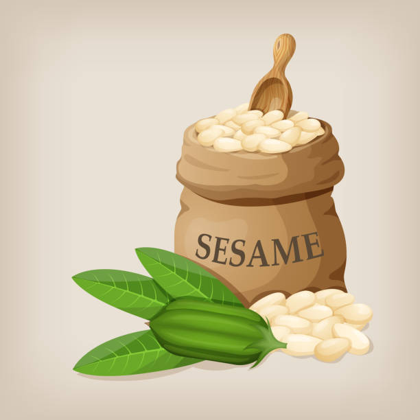 Sesam Stock-Vektoren und -Grafiken - iStock Sesam Stock-Vektoren und -Grafiken - iStock