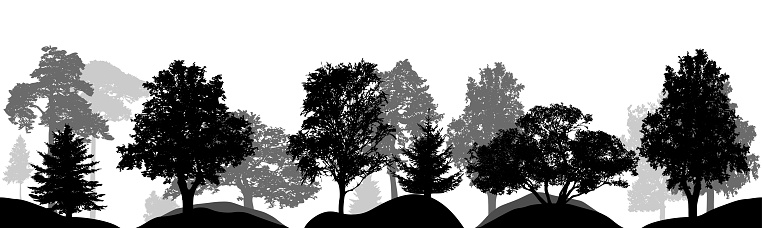 Set Of Trees Silhouettes Isolated Vector Stock Illustration - Download ... Set Of Trees Silhouettes Isolated Vector Stock Illustration - Download ...