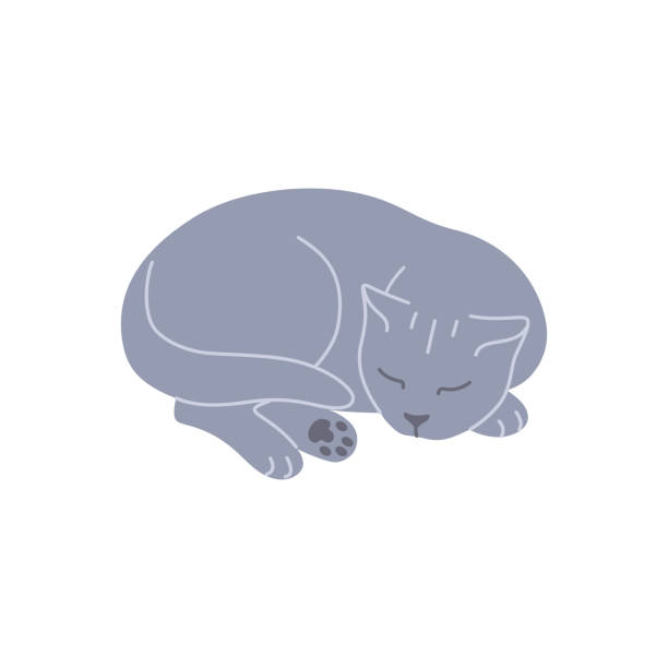 Cat Curled Up Illustrations, Royalty-Free Vector Graphics & Clip Art ... Cat Curled Up Illustrations, Royalty-Free Vector Graphics & Clip Art ...