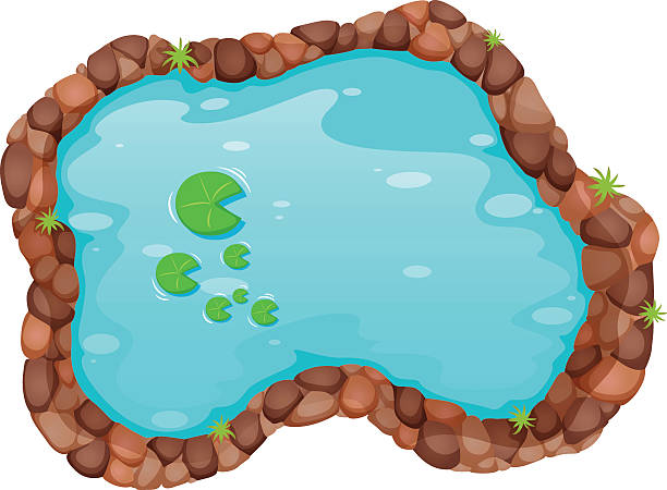 Pond Illustrations, Royalty-Free Vector Graphics & Clip Art - iStock Pond Illustrations, Royalty-Free Vector Graphics & Clip Art - iStock