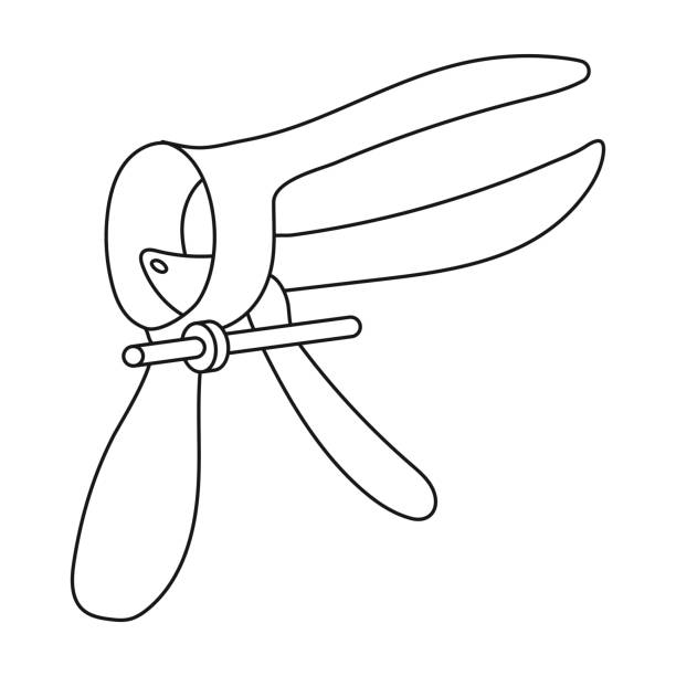 Best Dilation Illustrations, Royalty-Free Vector Graphics & Clip Art ... Best Dilation Illustrations, Royalty-Free Vector Graphics & Clip Art ...