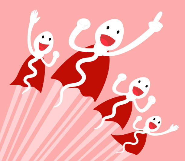 Cartoon Sperm Cell Illustrations, Royalty-Free Vector Graphics & Clip ... Cartoon Sperm Cell Illustrations, Royalty-Free Vector Graphics & Clip ...