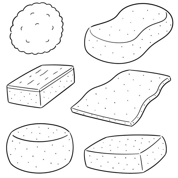 Soak Up Illustrations, Royalty-Free Vector Graphics & Clip Art - iStock Soak Up Illustrations, Royalty-Free Vector Graphics & Clip Art - iStock