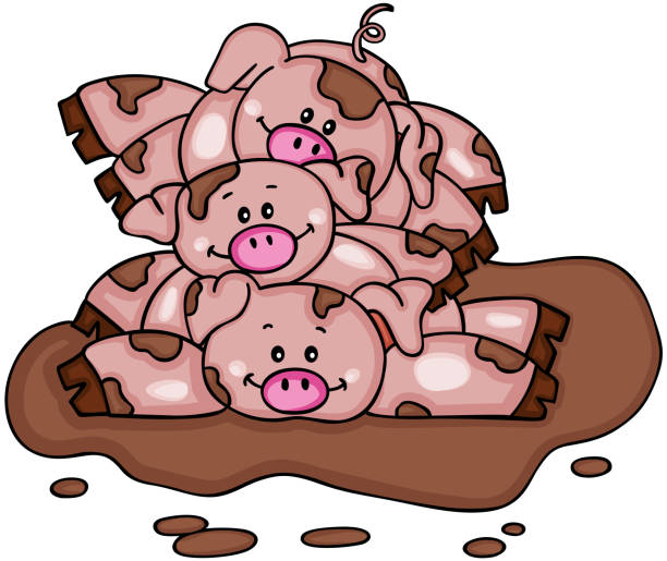 Best Pig In Mud Illustrations, Royalty-Free Vector Graphics & Clip Art ... Best Pig In Mud Illustrations, Royalty-Free Vector Graphics & Clip Art ...
