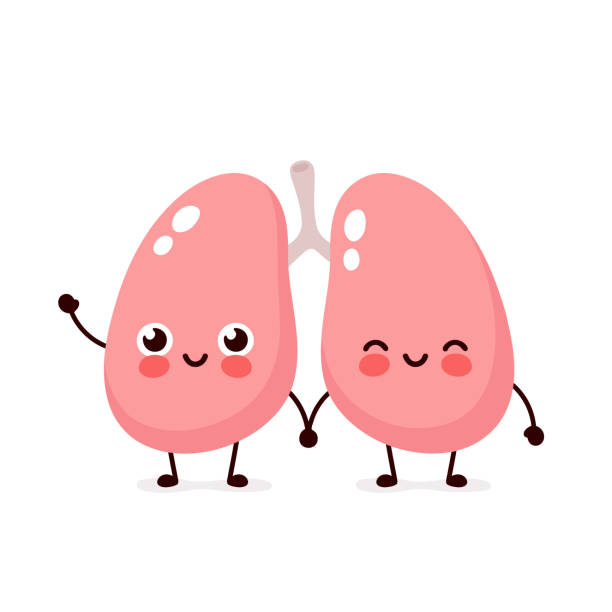 Cute Lungs Illustrations, Royalty-Free Vector Graphics & Clip Art - iStock Cute Lungs Illustrations, Royalty-Free Vector Graphics & Clip Art - iStock