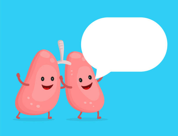 Best Cute Lungs Illustrations, Royalty-Free Vector Graphics & Clip Art ... Best Cute Lungs Illustrations, Royalty-Free Vector Graphics & Clip Art ...