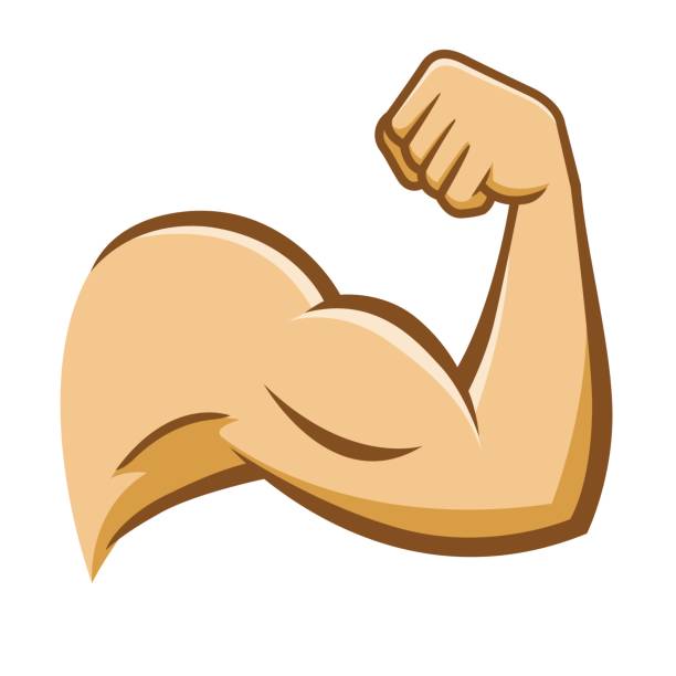 Musculation Des Biceps Vecteurs et Illustrations Libres de Droits - iStock Musculation Des Biceps Vecteurs et Illustrations Libres de Droits - iStock