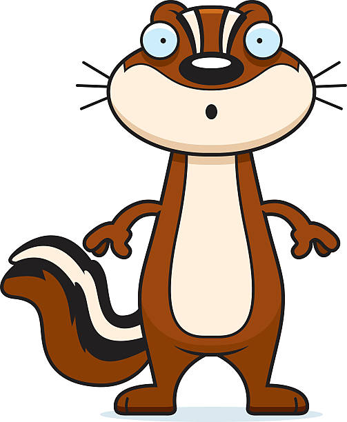 Best Chipmunk Illustrations, Royalty-Free Vector Graphics & Clip Art ... Best Chipmunk Illustrations, Royalty-Free Vector Graphics & Clip Art ...