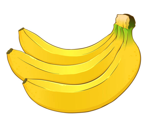 3 Bananas Clipart Clip Art Library - vrogue.co 3 Bananas Clipart Clip Art Library - vrogue.co
