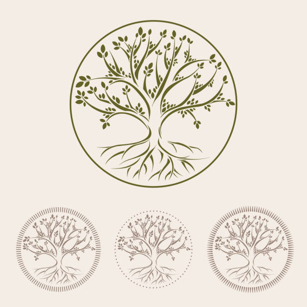Oak Tree Roots Illustrations, Royalty-Free Vector Graphics & Clip Art ... Oak Tree Roots Illustrations, Royalty-Free Vector Graphics & Clip Art ...