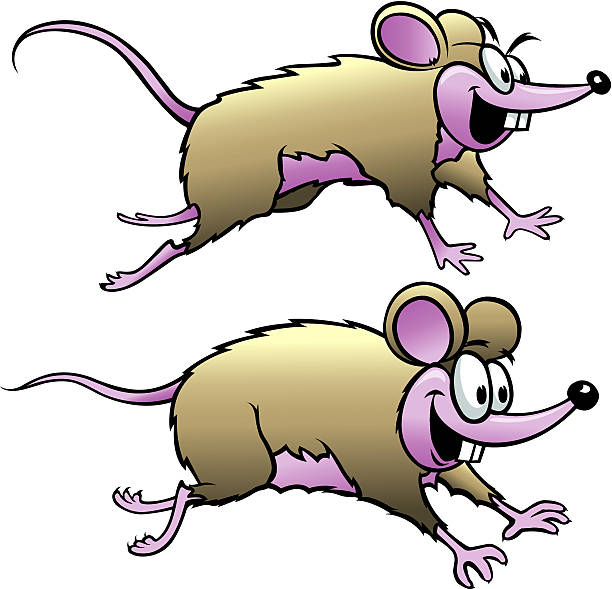 Best Running Mouse Illustrations, Royalty-Free Vector Graphics & Clip ... Best Running Mouse Illustrations, Royalty-Free Vector Graphics & Clip ...