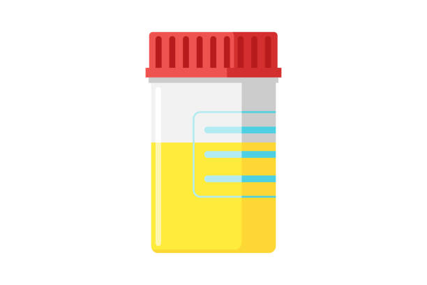 Best Gestational Diabetes Illustrations, Royalty-Free Vector Graphics ... Best Gestational Diabetes Illustrations, Royalty-Free Vector Graphics ...
