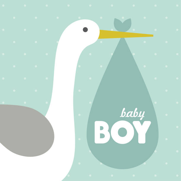 Best Baby Announcement Illustrations, Royalty-Free Vector Graphics ... Best Baby Announcement Illustrations, Royalty-Free Vector Graphics ...