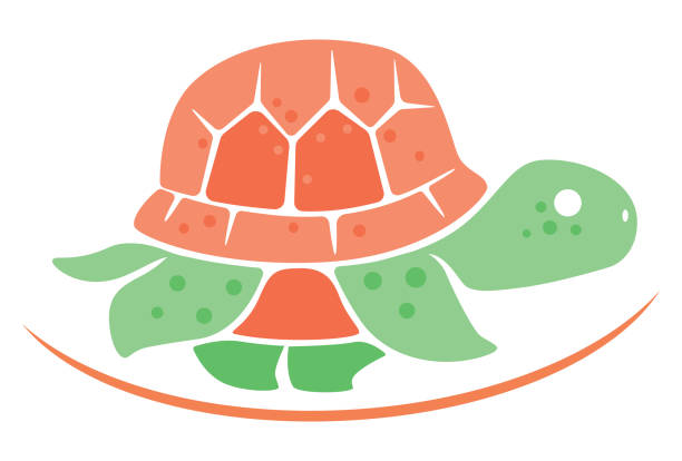 Anticipate Tortoise Illustrations, Royalty-Free Vector Graphics & Clip ... Anticipate Tortoise Illustrations, Royalty-Free Vector Graphics & Clip ...