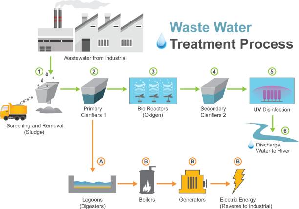 Water Cycle Illustrations, Royalty-Free Vector Graphics & Clip Art - iStock Water Cycle Illustrations, Royalty-Free Vector Graphics & Clip Art - iStock