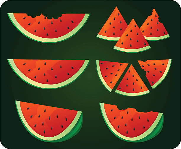 Watermelon Vine Illustrations, Royalty-Free Vector Graphics & Clip Art ... Watermelon Vine Illustrations, Royalty-Free Vector Graphics & Clip Art ...