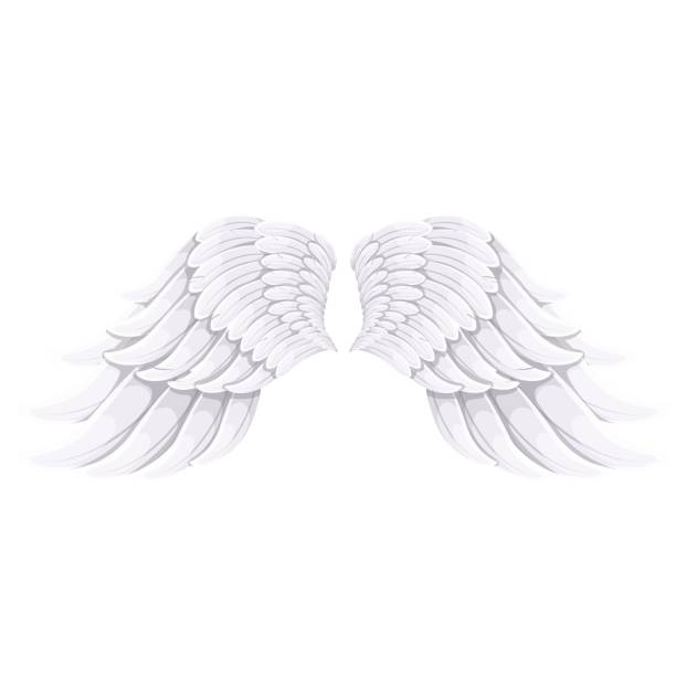 Eagle Wing Span stock vectors - iStock Eagle Wing Span stock vectors - iStock
