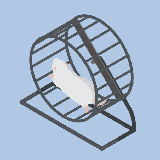 Rats Running Illustrations, Royalty-Free Vector Graphics & Clip Art ... Rats Running Illustrations, Royalty-Free Vector Graphics & Clip Art ...